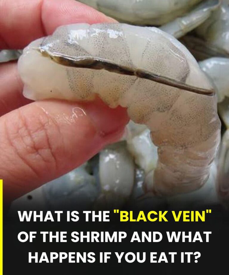The “vein” of the shrimp: the culinary detail that few know and many ...